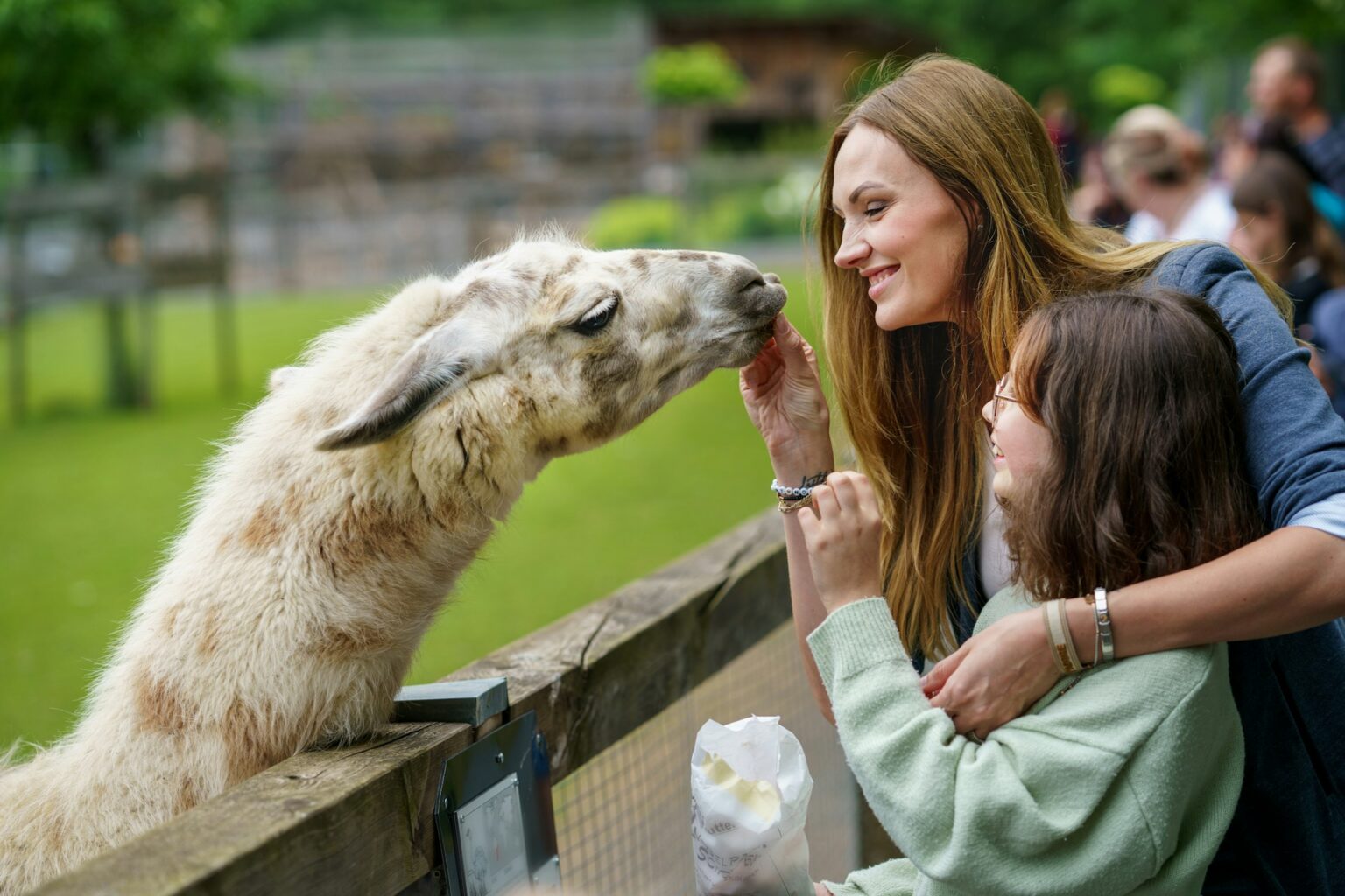 Plus grand zoo du monde : le vrai classement 2025